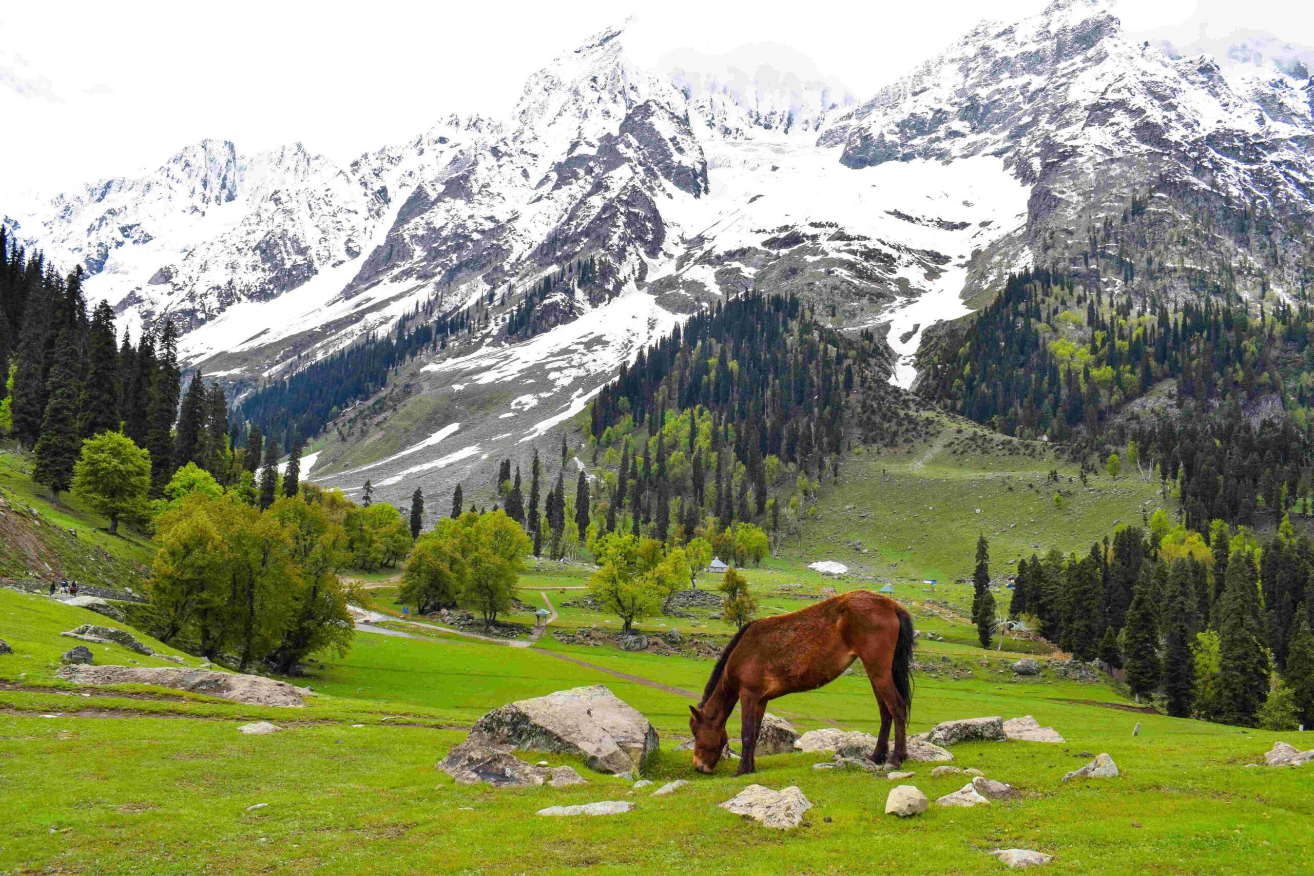 Pahalgam | All you need to Know About this Beautifull Destination